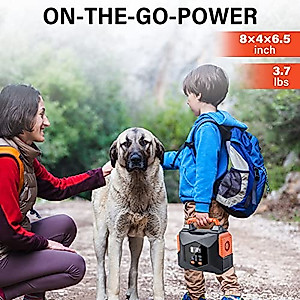 BailiBatt Portable Power Station 150W, 146Wh Camping Solar Generator, Lithium Battery Bank Power Supply with 2 110V/150W (Peak 300W) AC/2 DC/2 USB/ 1 QC 3.0/1 USB-C for CPAP Home Camping Emergency, Orange