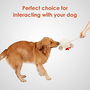 EHEYCIGA Christmas Dog Toys for Large Dogs, Large Squeaky Pet Toys for Entertainment and Gifts, Stuffed Plush Cute Dog Toys Large Breed with Squeaker, Turkey Large