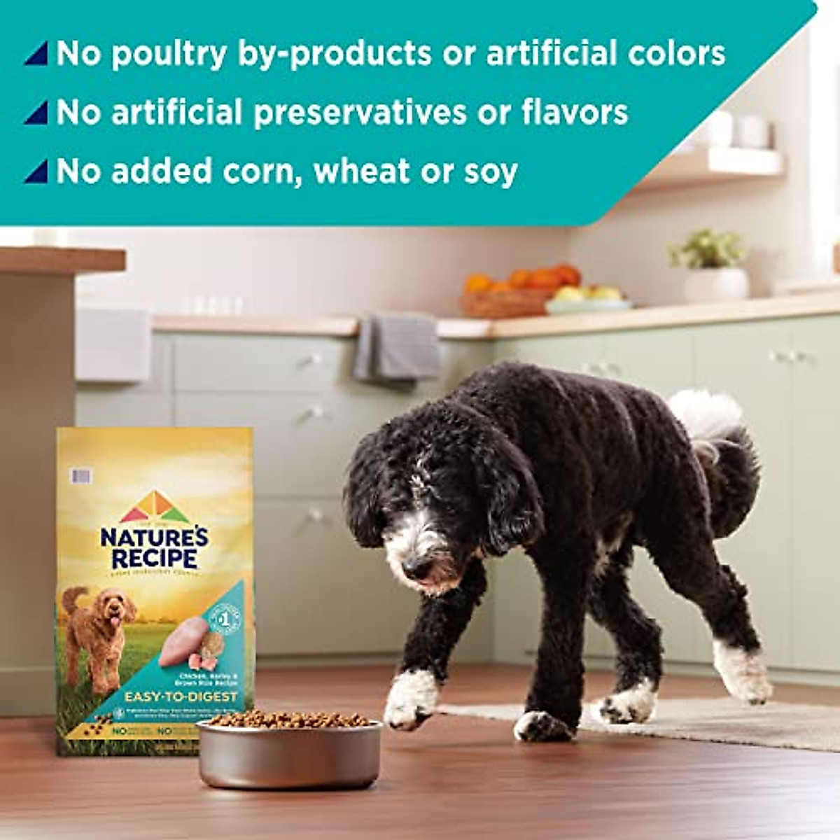 Nature’s Recipe Easy to Digest Dry Dog Food, Chicken, Rice & Barley Recipe, 24 Pound Bag