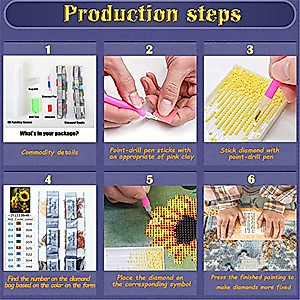 Acelii Diamond Painting Kits