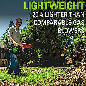 Greenworks Pro 80V (145 MPH / 580 CFM) Brushless Cordless Axial Leaf Blower, 2.5Ah Battery and Charger Included BL80L2510