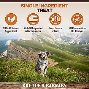 BRUTUS & BARNABY Sweet Potato Dog Treats- No Additive Dehydrated Sweet Potato Fries, Grain Free, Gluten Free and No Preservatives Added (14 oz)