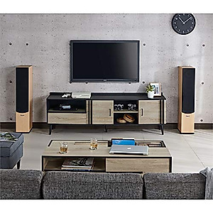 Furniture of America Trubico Mid-Century Wood Storage 70-Inch TV Stand in Black