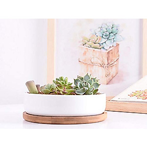 Lawei 3 Pack 6 inch Round Succulent Cactus Planter Pots with Drainage Bamboo Tray - Garden Ceramic Flower Planter Pot