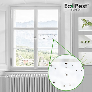 Window Fly Traps – 12 Pack | Transparent Sticky Fly Trap for Windows | Discrete, Extra Large Insect Glue Trap and Indoor Bug Catcher for House Flies and Other Flying Insects