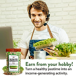 Alfalfa Sprout Seeds for Sprouting and Microgreens (16oz) Premium USA Alfalfa Seeds Indoor or Outdoor Planting Sprouts | Non-GMO | Micro Greens Seed in Resealable Bag