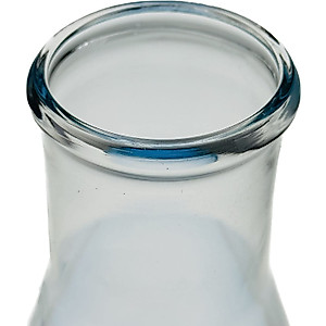 LUERFLEX 4000ML 1GAL Erlenmeyer Flask Borosilicate Glass Pack of 1