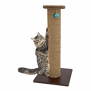 Kitty City Sisal Post Cat Scratchers and Cushion