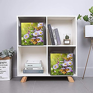 Pansies and Butterfly Collapsible Storage Bins Basics Folding Fabric Storage Cubes Organizer Boxes with Handles