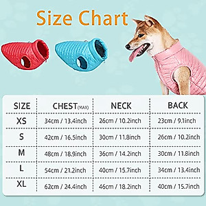 Dog Jacket for Small Medium Dogs Girl and Boy, Warm Winter Sweater with Leash Hole, Dog Coat Pet Costume, Puppy Clothes for Chihuahua Pomeranian (Large, Red)