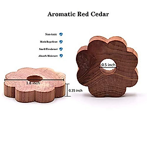 Wahdawn Aromatic Cedar Blocks for Clothes Storage, 100% Natural Cedar Hanger Rings & Hearts Blocks, Storage Accessories Closets & Drawers (40)