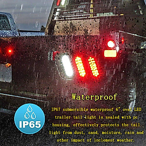 NPAUTO 6" Oval LED Trailer Lights 24 White LED Reverse Backup Lights Waterproof Trailer Stop Turn Tail Light for RV Trucks (4)