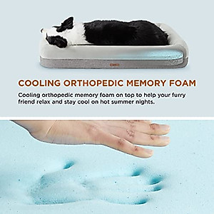 Lesure Memory Foam Dog Bed - Orthopedic Dog Bed for Medium Dogs Made with CertiPUR-US® Certified Foam - Bolster Pet Bed with Removable Washable Cover and Waterproof Lining, Grey