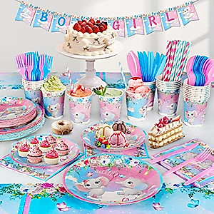 327Pcs Gender Reveal Party Supplies, Baby Shower Decorations Serves 25 Guests, Boy or Girl Elephant Gender Reveal Ideas with Tableware, 120pcs Balloons, Backdrop