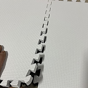 Funnyfuzzy Interlocking Carpet,Dog Blanket Soft Pet Bed Cover, Plush Foam mat, Shaggy Soft EVA Foam Mats Fluffy Area Rugs Protective Floor Tiles Exercise Play Mat for Kids Room Home Parlor Bedroom (C