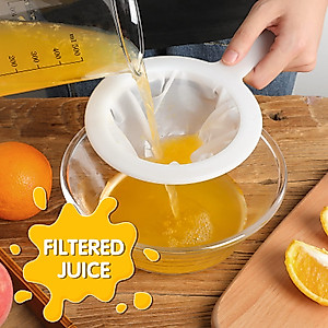 Zopeal 2 Pieces Ultra Fine Mesh Strainer Nylon Food Juice Strainer Yogurt Mesh Sieve Plastic Colander with Handle Mini Brine Shrimp Separation Net for Kitchen(100/400 Mesh)