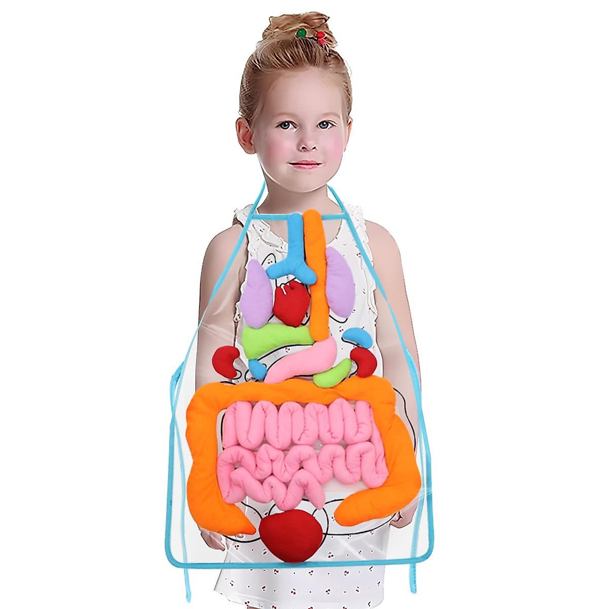 KAKIBLIN 3D Organ Apron,(Upgrade Version) Anatomy Apron Human Body Organs Awareness Educational Toy for Home Preschool Teaching Aid, Transparent