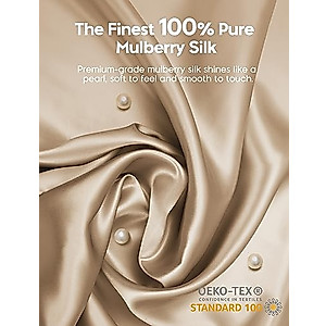 100% Pure Mulberry Silk Pillowcase for Hair & Skin - 22 Momme 6A High-Grade Fibers - Anti-Aging, Anti-Sleep Crease, Cooling Satin Pillowcases with Hidden Zipper, Best Gift Idea (Queen 20x30 Inches)