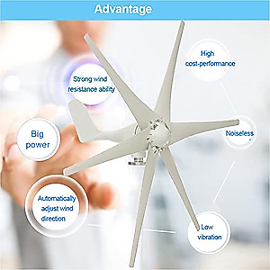 QAZNHODDS 8000W Wind Turbine Generator kit, with 6 Blade 2.5m/s Low Wind Speed Starting Wind Turbines for Terrace, Marine, Motorhome, Chalet, Boat,24v