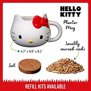 The Cat Ladies Hello Kitty Organic Cat Grass Growing kit with Organic Seed Mix, Soil and Hello Kitty Planter. Natural Hairball Control and Digestive Remedy,Cat Gifts
