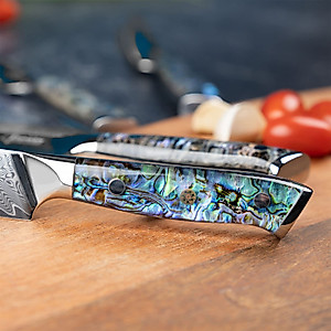 SENKEN Damascus Steel 7" Japanese Santoku Knife with Real Deep-Sea Abalone Shell Handle - Umi Collection - 67-Layer Japanese VG10 Forged Steel Blade, Integrated Full-Tang Molding (7" Santoku Knife)