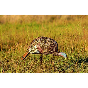 Flambeau Outdoors MD-710 Shady Baby Turkey Decoy - Feeding Hen