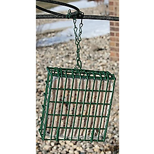 C&S Fruit n' Nut Treat 11.75 Ounces, 12 Pack