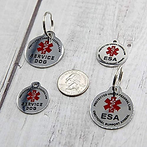 Engraved Service Dog Personalized with 4 Lines of Custom Engraved ID Stainless Steel Enameled Small