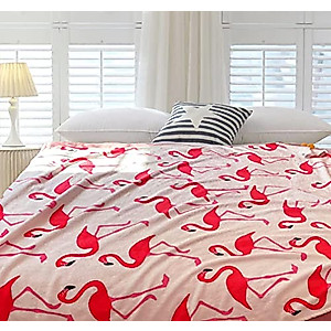 Spring Throw Blanket Pink Flamingo Easter Blanket Cozy Gifts for Women Super Soft Flannel Fleece Throw Blanket Valentines Gifts for Women Fuzzy Blanket Lightweight