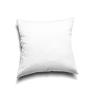 EDOW Throw Pillow Inserts, Set of 2 Lightweight Down Alternative Polyester Pillow, Couch Cushion, Sham Stuffer, Machine Washable. (White, 18x18)