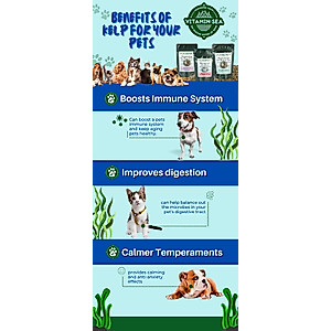 VITAMINSEA Micronutrients for Dogs | Dried Norwegian Kelp Seaweed Supplement | All Natural Food Additives | Rockweed Flakes w/Glucosamine, Chondroitin, White Willow Bark | Bone & Joint Health | 6 oz