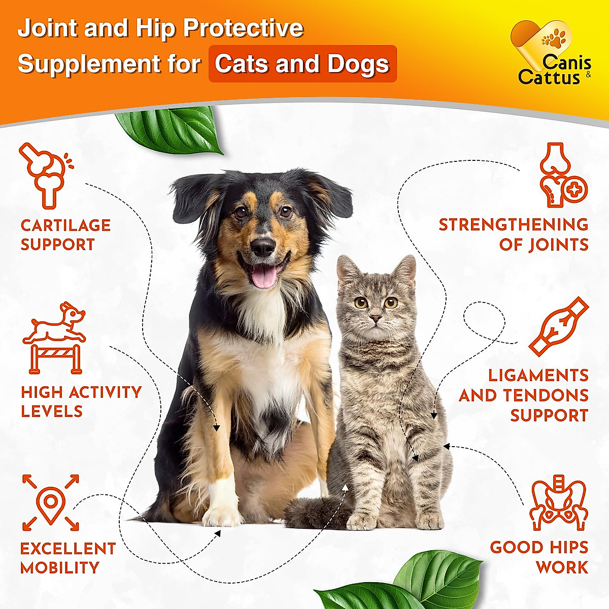 Cat Glucosamine | Dog Joint Supplement Liquid | Cat Vitamin | Dog Vitamin | Glucosamine for Cats and Dogs | Cats and Dog Vitamins and Supplements | Bundle