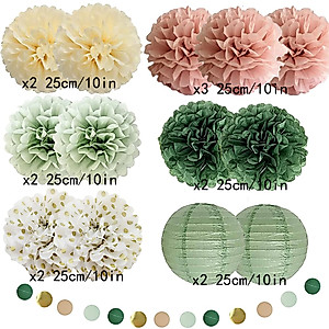 Sage Green Dusty Pink Tissue Paper Pom Poms Decorations Paper Lanterns Sage Green Dusty Pink Party Decorations Cicle Dots Garland for Bridal Shower Baby Shower Wedding Birthday Party Decorations