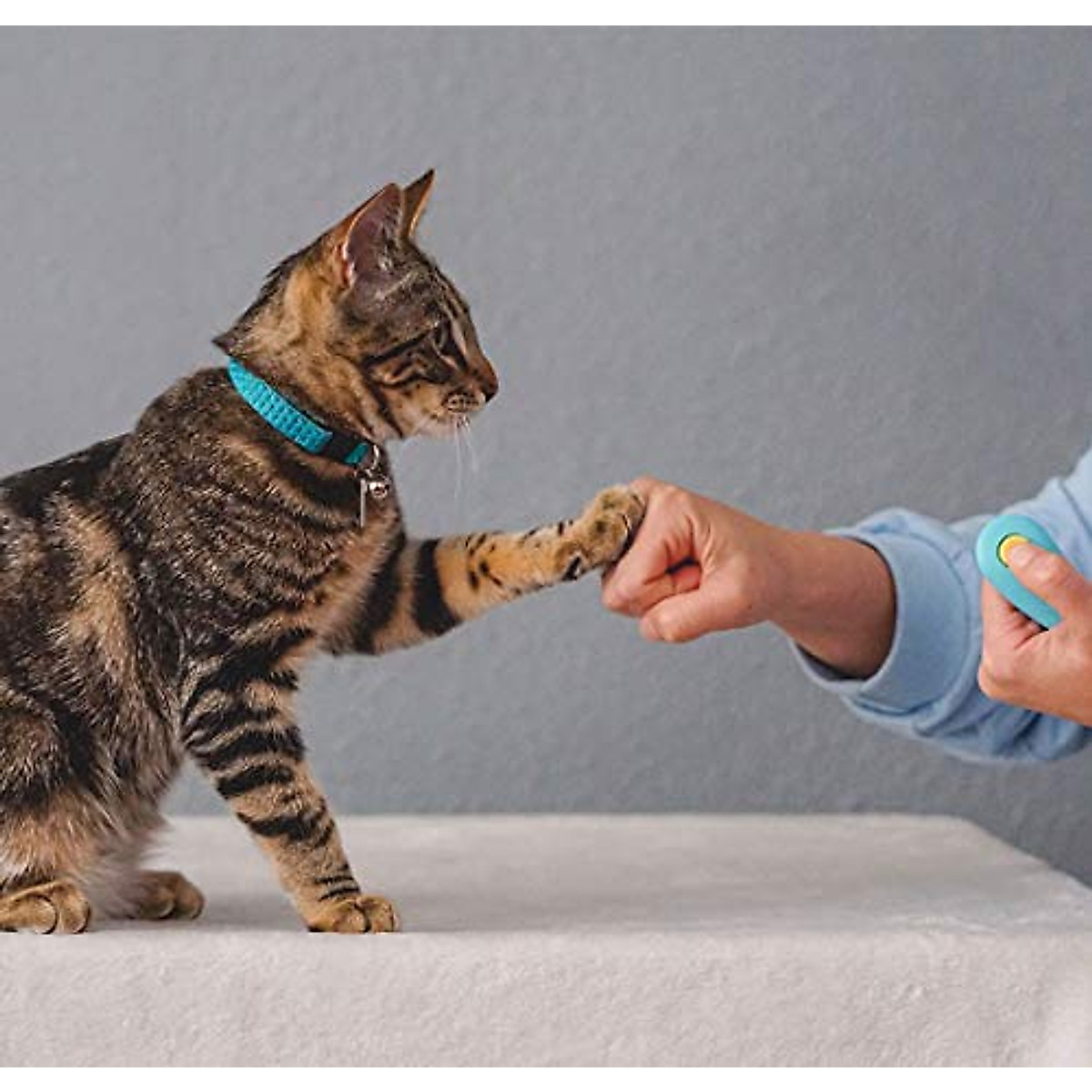 CAT SCHOOL Clicker Training Kit for Cats - 1 Cat Training Clicker, 1 Target Stick, 1 Step-by-Step Instruction Booklet - Clicker Tools for Cat Training, Fist Bump Training, Positive Behavior