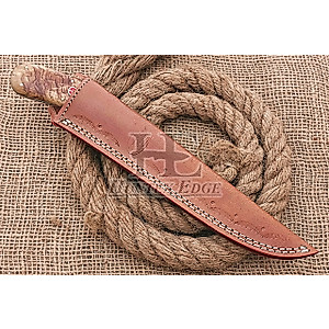 HUNTEX Handmade Hand-Forged Twist Pattern Damascus Steel 11.5 Inch Long Full Tang Olive Wood Handle Razor Sharp Hunting Camping Fillet Knife w/Genuine Leather Pouch