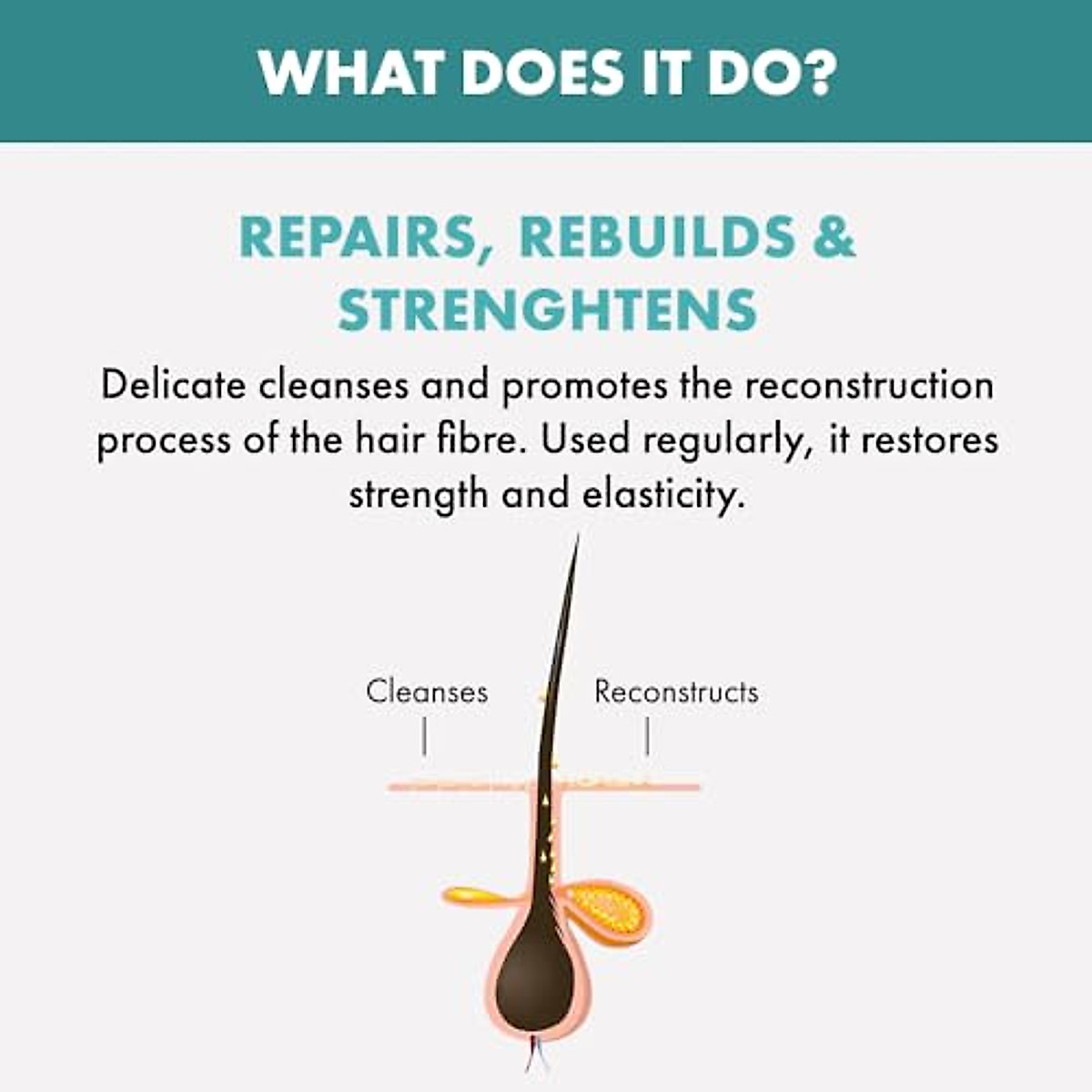 Alfaparf Milano Semi Di Lino Reconstruction Reparative Shampoo for Damaged Hair - Color Safe, Hydrating Shampoo for Dry Hair - Restores Fiber & Elasticity - Sulfate & Paraben Free - Vegan (8.45 oz)