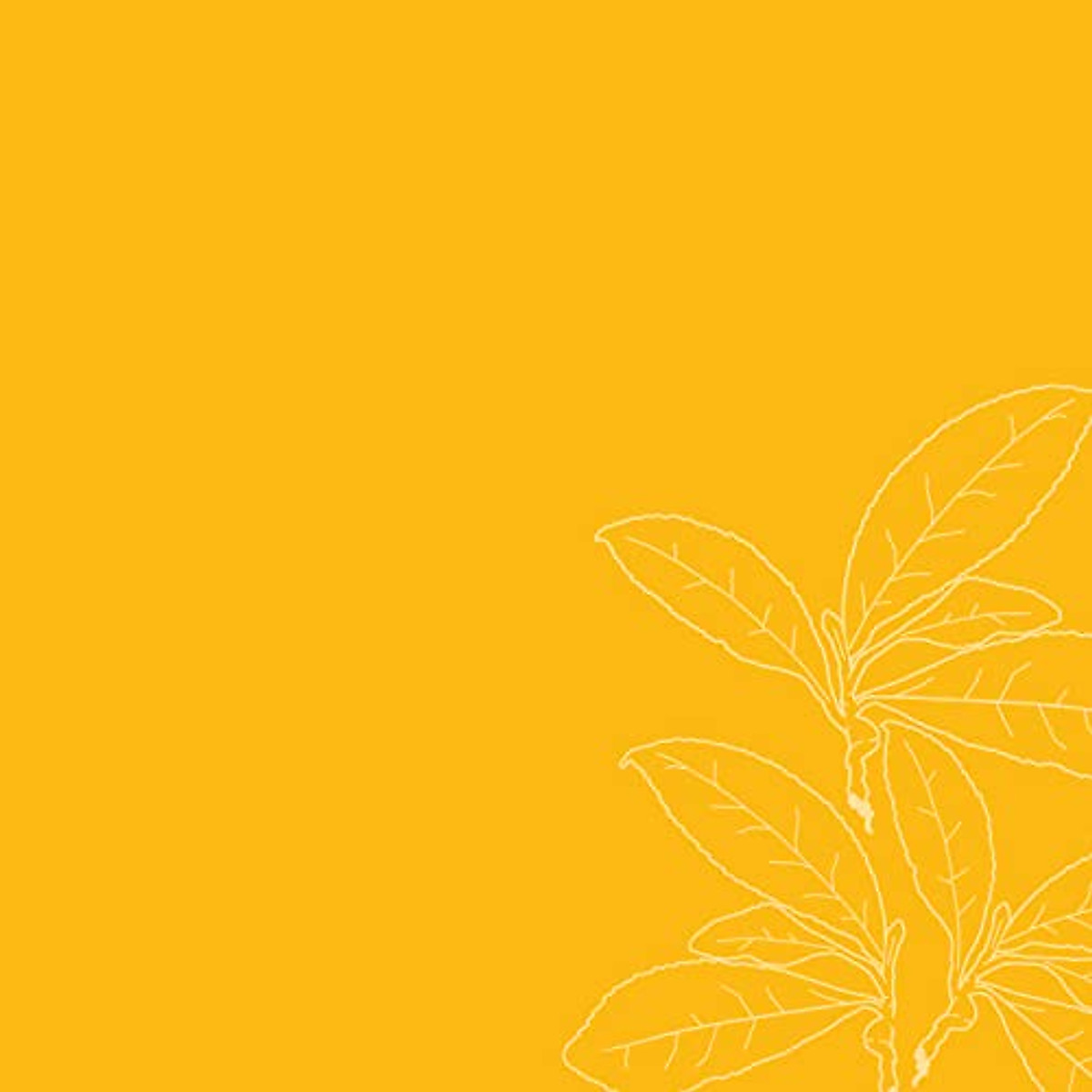 SheaMoisture Low Porosity Weightless Hydrating Conditioner For Moisture Resistant, Curly, Coily Hair Lightweight Hair Conditioner 13 fl oz