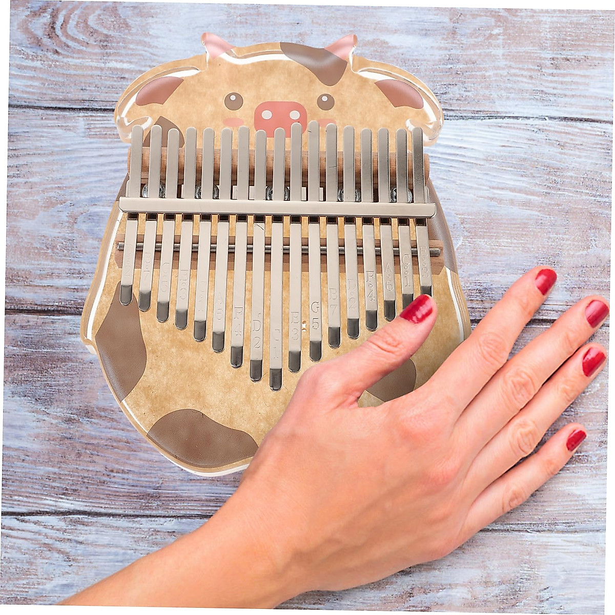 EXCEART 1pc Finger Piano Childs Piano 17 Keys Thumb Clear Thumb Piano Hand Bells Chimes Knock Thumb Pianos Marimbas Instrument African Kalimba Kids Piano Acrylic Percussion Stainless Steel