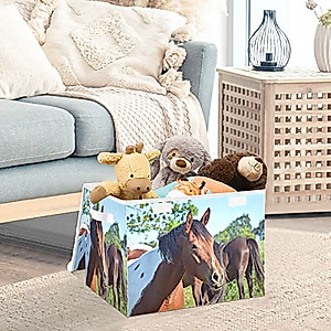 Kigai Storage Basket Funny Horse Storage Boxes with Lids and Handle, Large Storage Cube Bin Collapsible for Shelves Closet Bedroom Living Room, 16.5x12.6x11.8 In