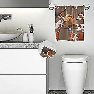 QUGRL Basset Hound Dogs Hand Towels for Bathroom Autumn Harvest Pumpkins Small Bath Towel 16x30 in, Decorative Kitchen Dish Towels Guest Fingertip Towel Washcloth for Spa Gym Sport