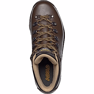 Asolo Women's TPS 520 GV EVO Long Distance, Backpacking, Trekking, Technical Terrian Hiking Boots (Chestnut, 10)