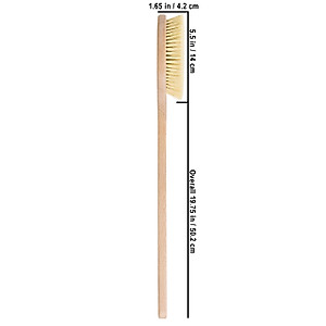 REDECKER Tampico Fiber Bath Brush with Oiled Beechwood Handle, 19-5/8-Inches - Bath Brush Long Handle for Shower - Body Brush with Natural Horse Hair, Made in Germany