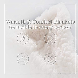 Sleepwish Pinecone Blanket Misty Landscape Sherpa Plush Fleece Throw Blanket for Couch, Sofa, Bed, Couch, Office Lap Hipster Tree Vintage Lightweight Blankets Throw(50"x60")