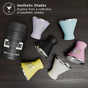 vaanshie Stainless Steel Martini Glass [Pack of 2] – 10oz, Blue, Powder Coated, No Sweat, Double Wall Margarita Tumbler for Cocktails and Cold Drinks | Barware & Kitchen