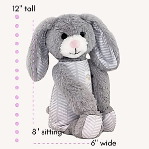 Soothie Sleeve Plush Comforts with Parent's Scent | Pediatrician Designed (Fussy, Crying Baby or Child. Separation Anxiety, Shower, Hospital, NICU Gift), Baxter The Bunny