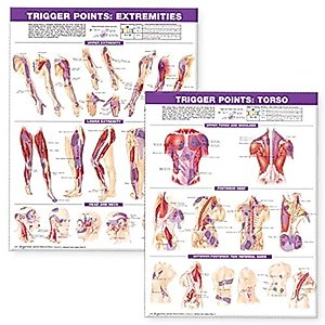 Trigger Point Chart Set: Torso & Extremities Paper