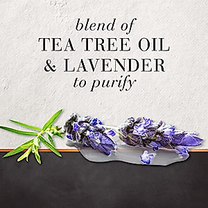 HAIR FOOD Tea Tree & Lavender Water Hair Conditioner 10.1 fluid Ounce (300ml)
