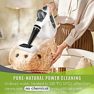 Pressurized Handheld Multi-Surface Natural Steam Cleaner with 12 pcs Accessories, Multi-Purpose Steamer for Home Use, Steamer for Cleaning Floor, Upholstery, Grout and Car
