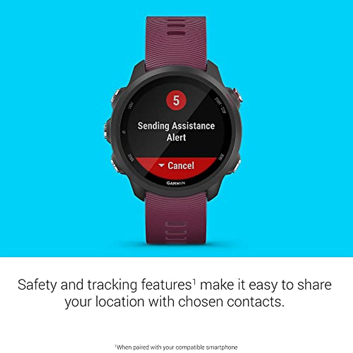 Garmin Forerunner 245, GPS Running Smartwatch with Advanced Dynamics, Berry