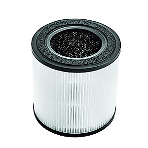 BISSELL® MYair™ Pro Replacement HEPA and Carbon Filter, 3069